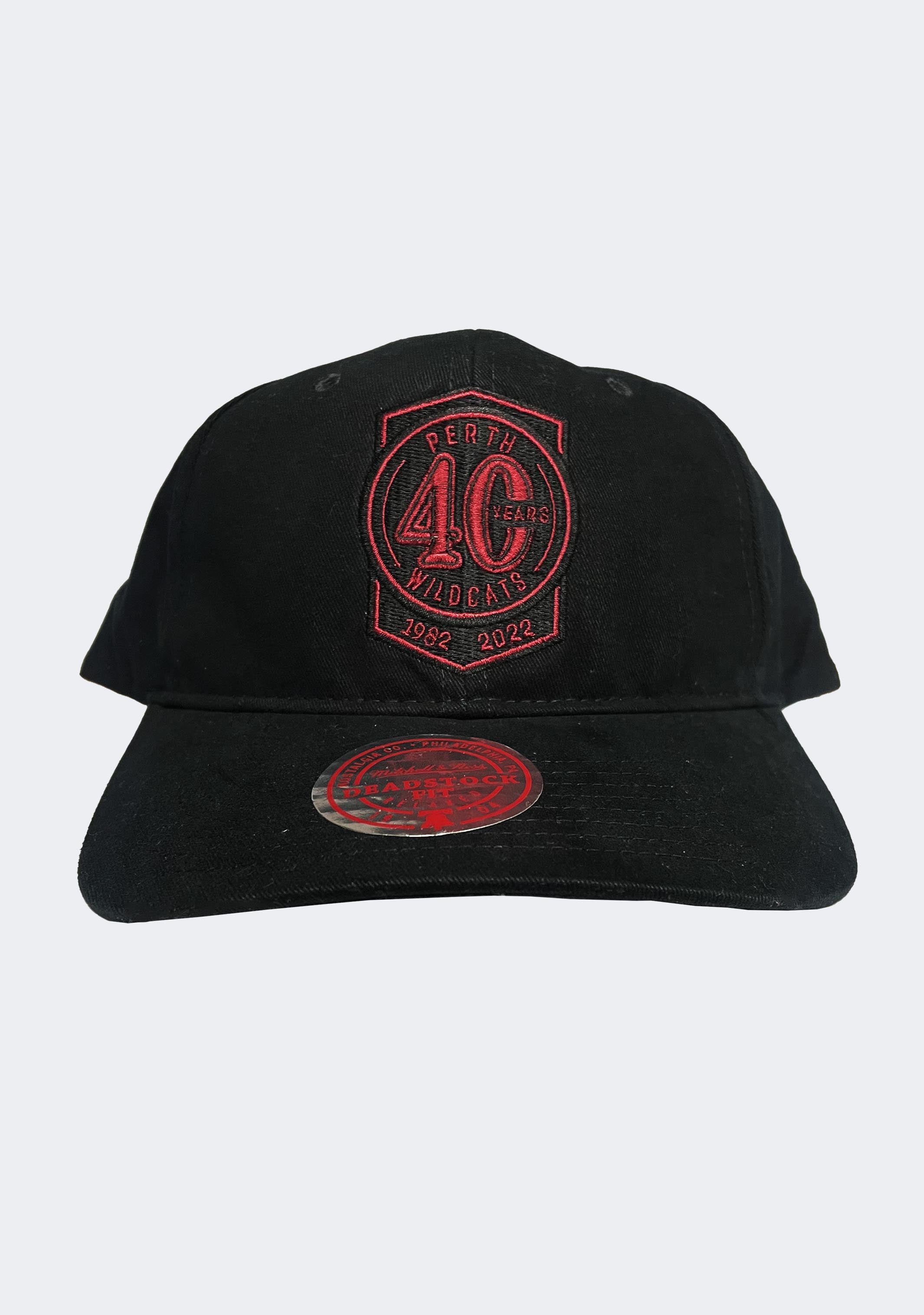 Perth Wildcats 1982 Foundation Deadstock Snapback Cap OSFM – Jim Kidd ...