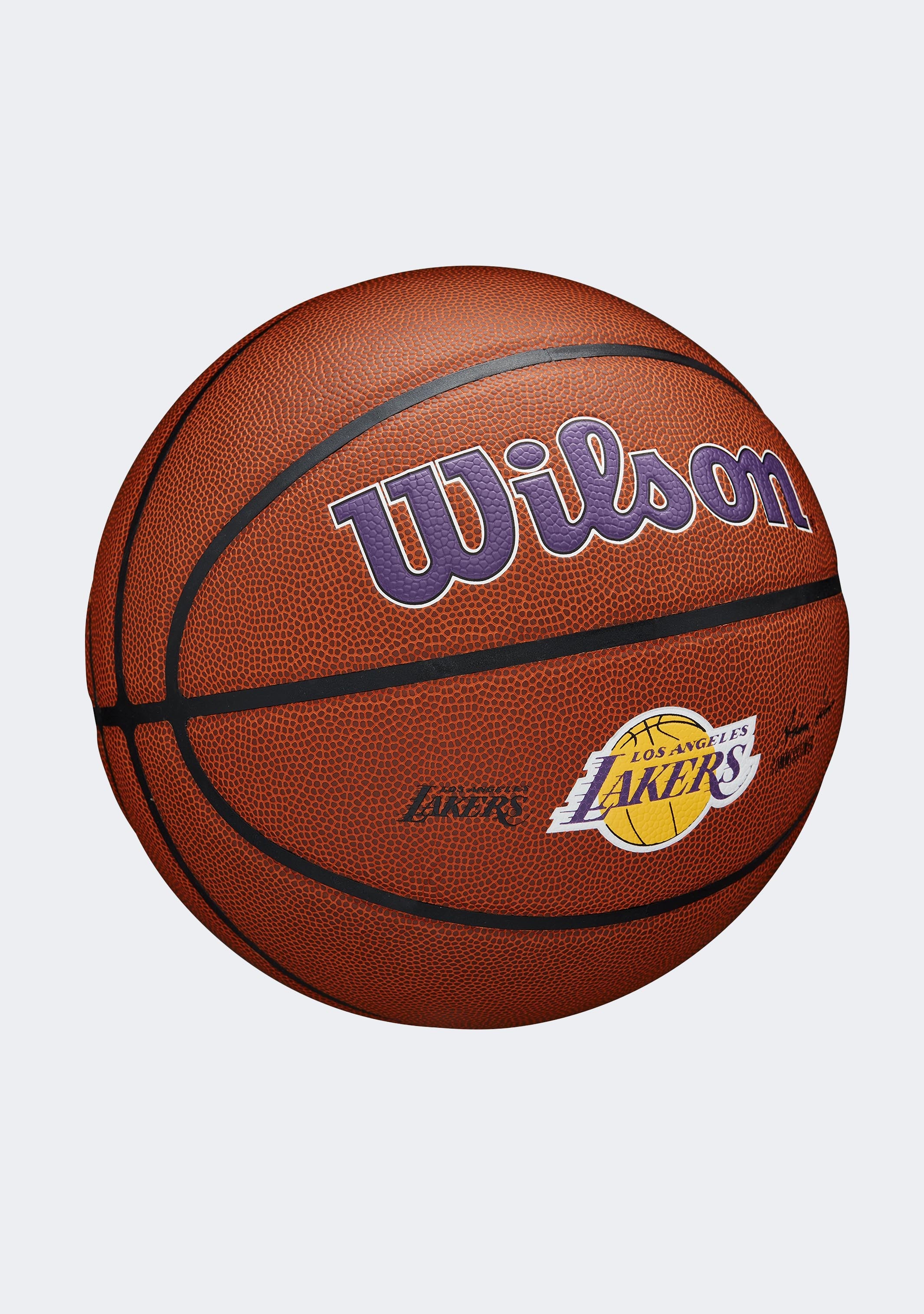 Wilson NBA Team Alliance Los Angeles Lakers – Jim Kidd Sports