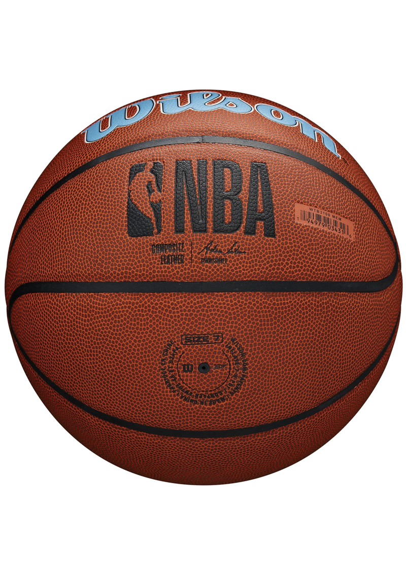 Wilson Team Composite Memphis Grizzlies Basketball WTB3100XBMEM – Jim ...